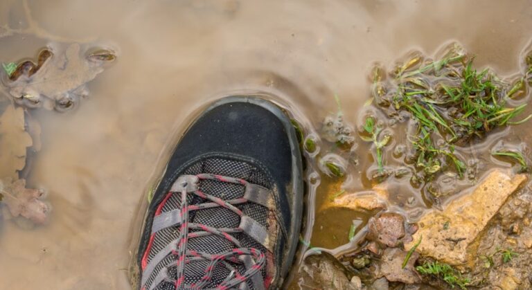 Effective Ways to Recognize the Signs of Water Contamination - Homeoclinic